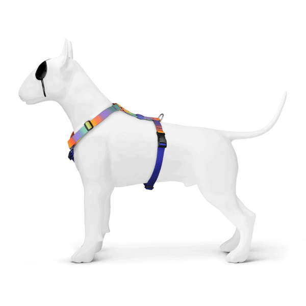 Morso H Harness Spring Blossom | woofers & barkers