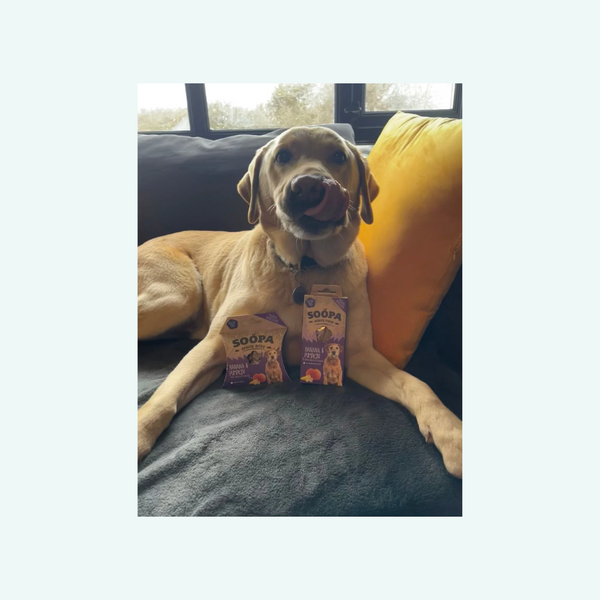 Soopa SENIOR Banana & Pumpkin Sticks | woofers & barkers